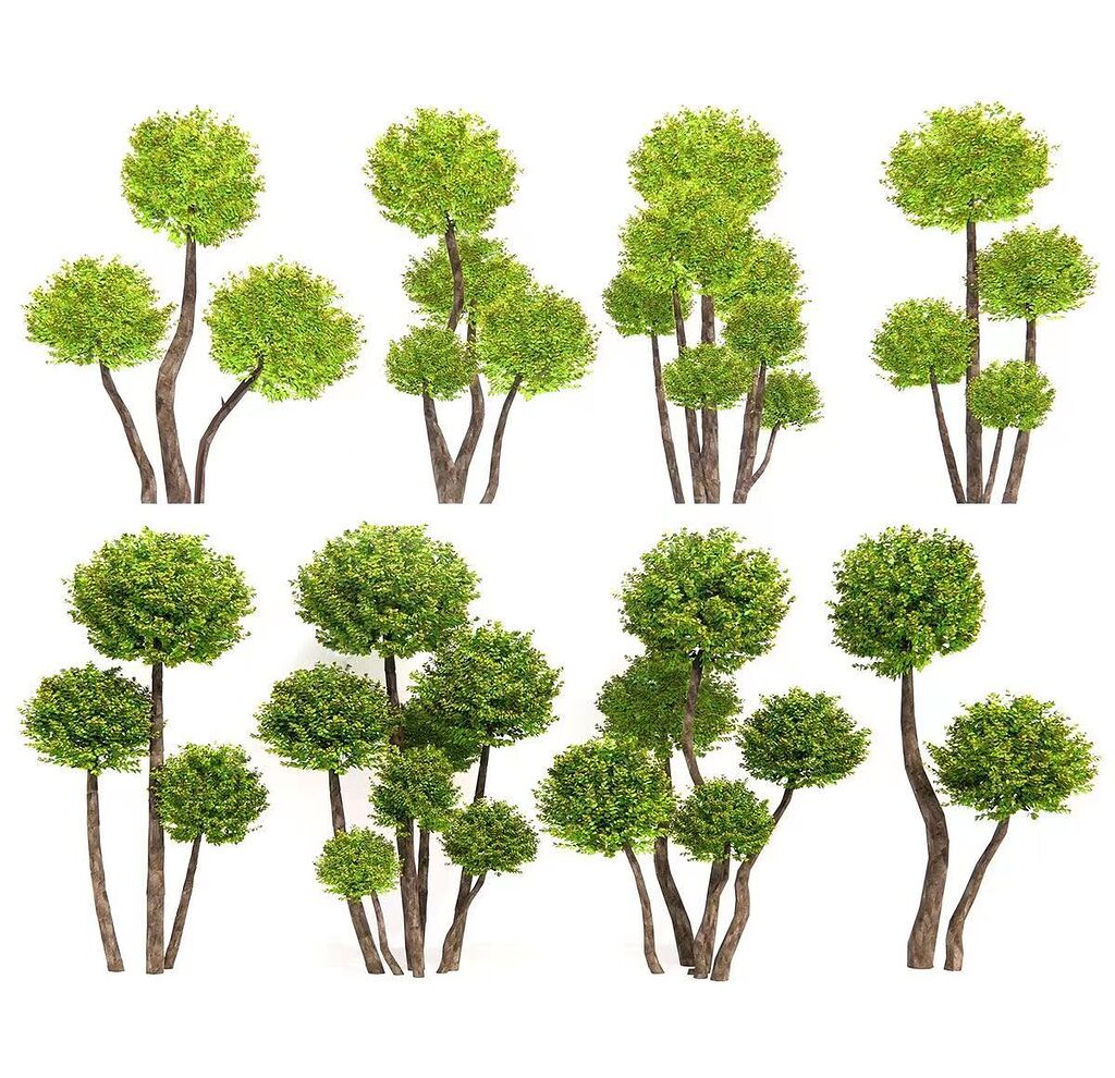 棒棒糖造型植物 资源分享 D5渲染器官方社区